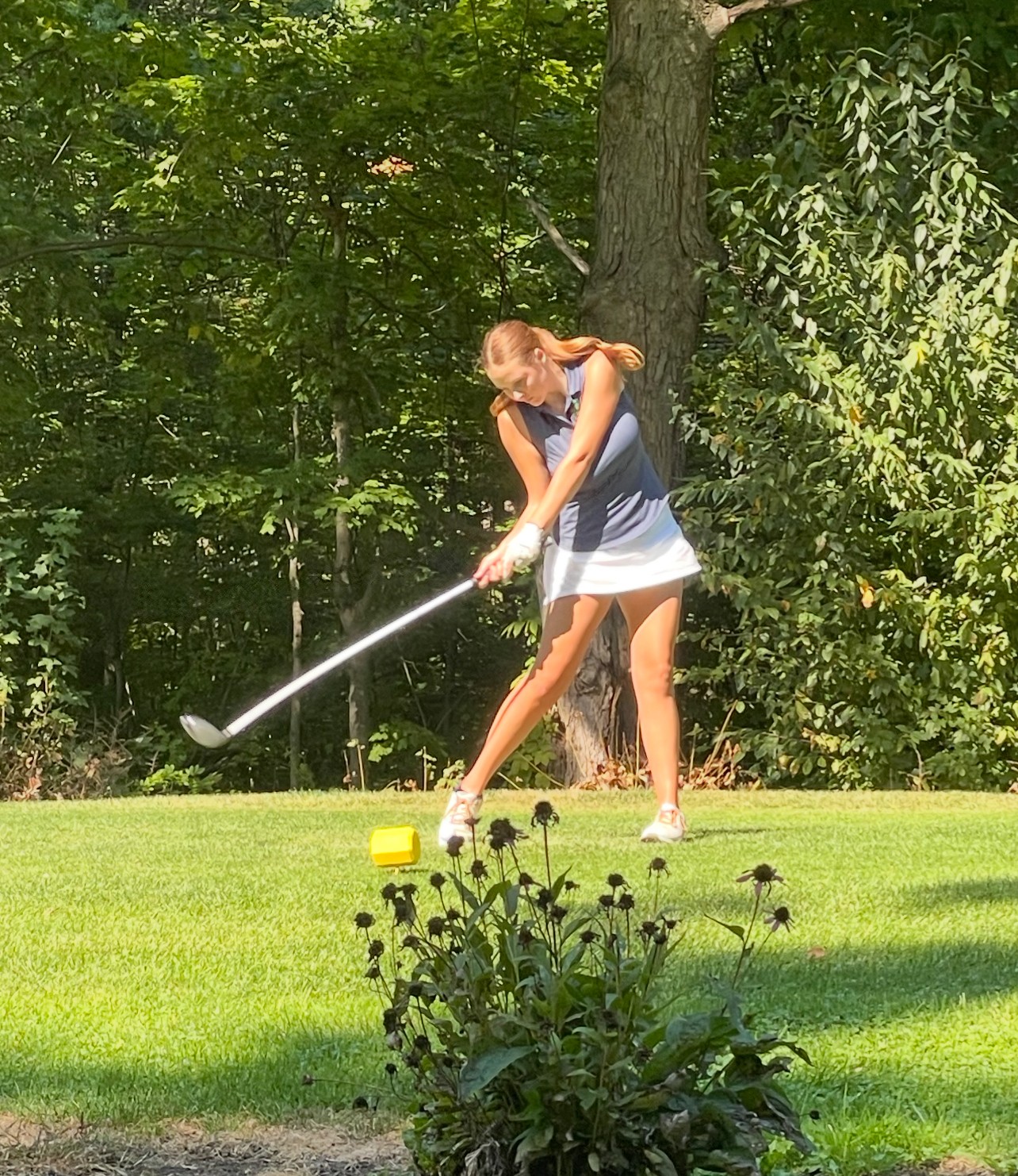 Shippee secures automatic bid to D10 Championships | News, Sports, Jobs ...